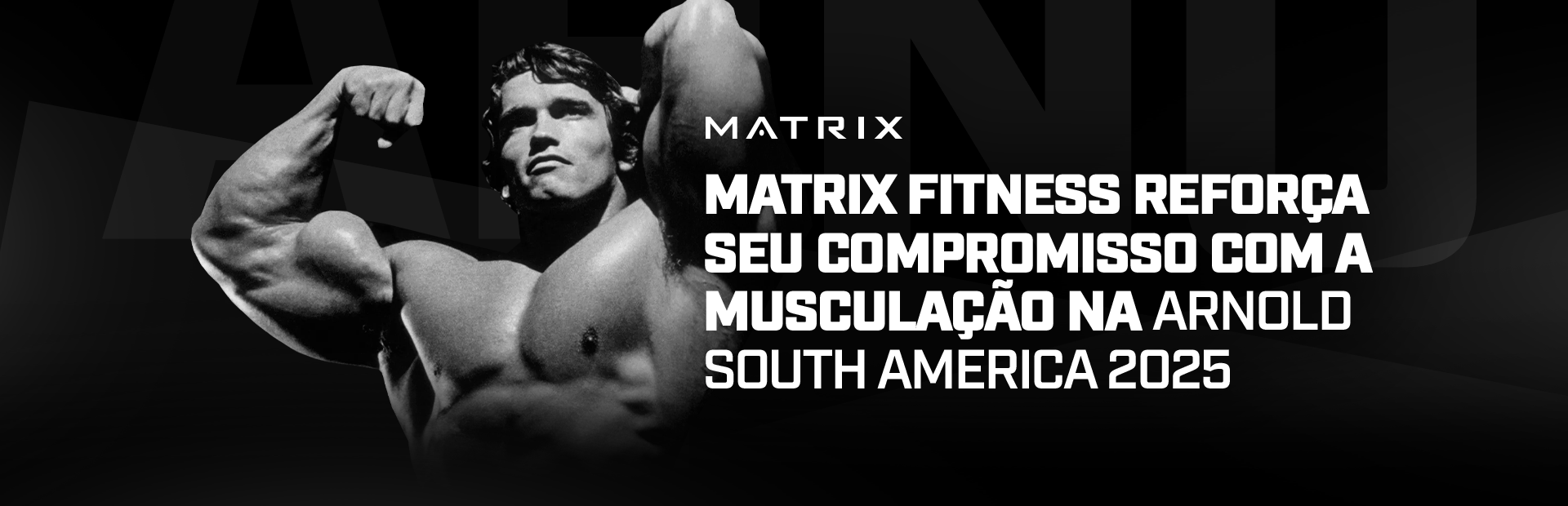 Johnson Fitness – Equipamentos de fitness de alta qualidade para uso ...